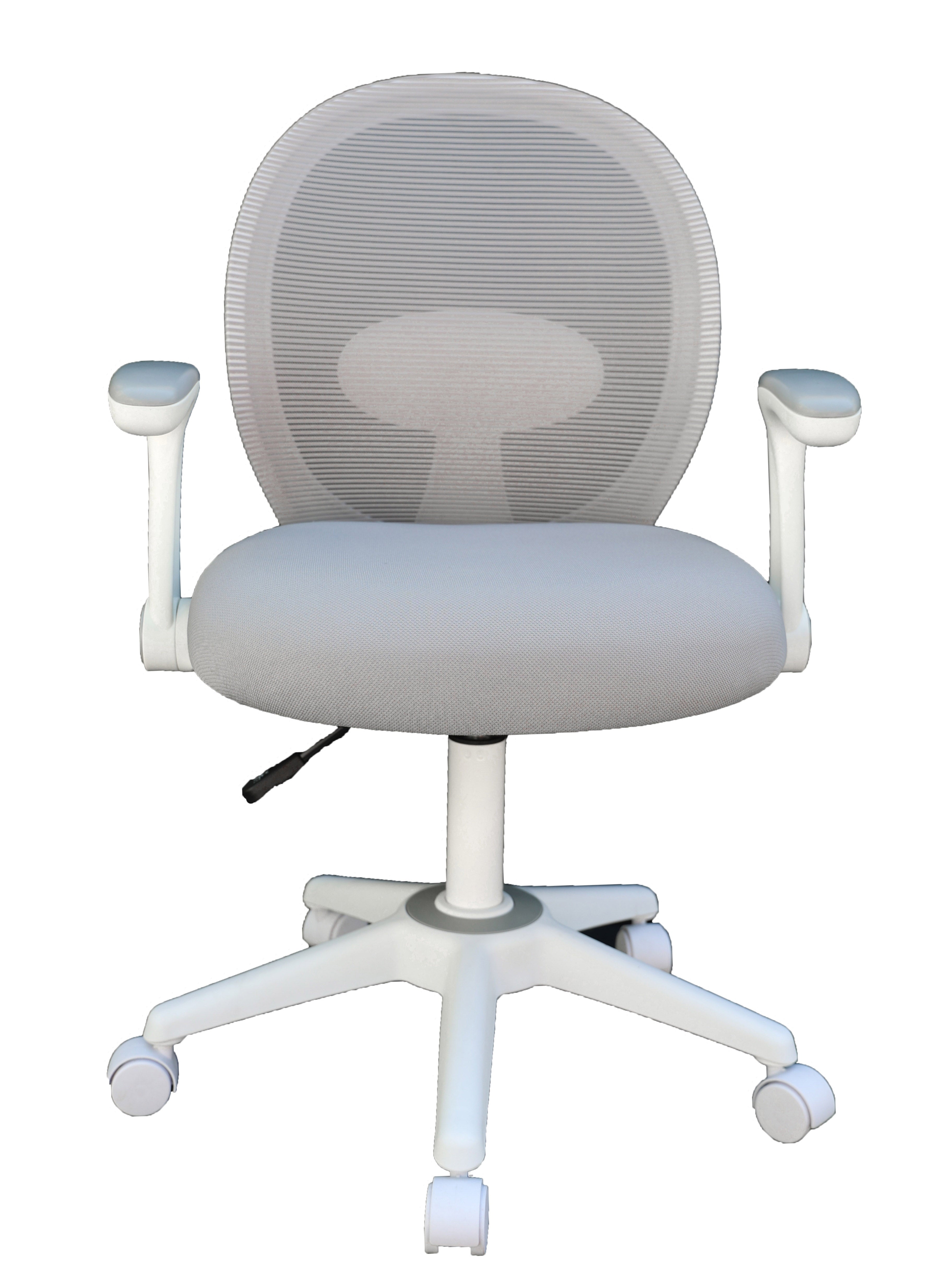 Boss Gray Mesh, Flip Arm, Task Chair, White Frame (B676WT-GY) Each ...