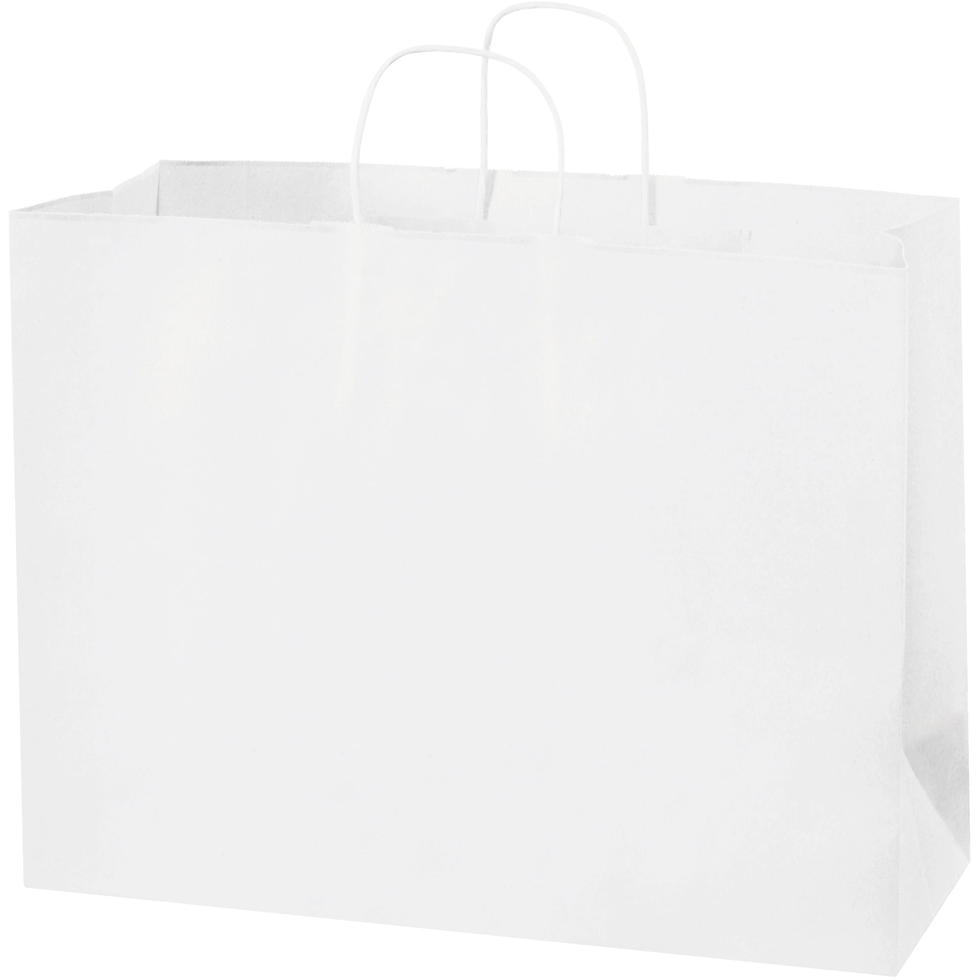 16 x 6 x 12" White Paper Shopping Bags (BGS108W) Case Of 250 ...