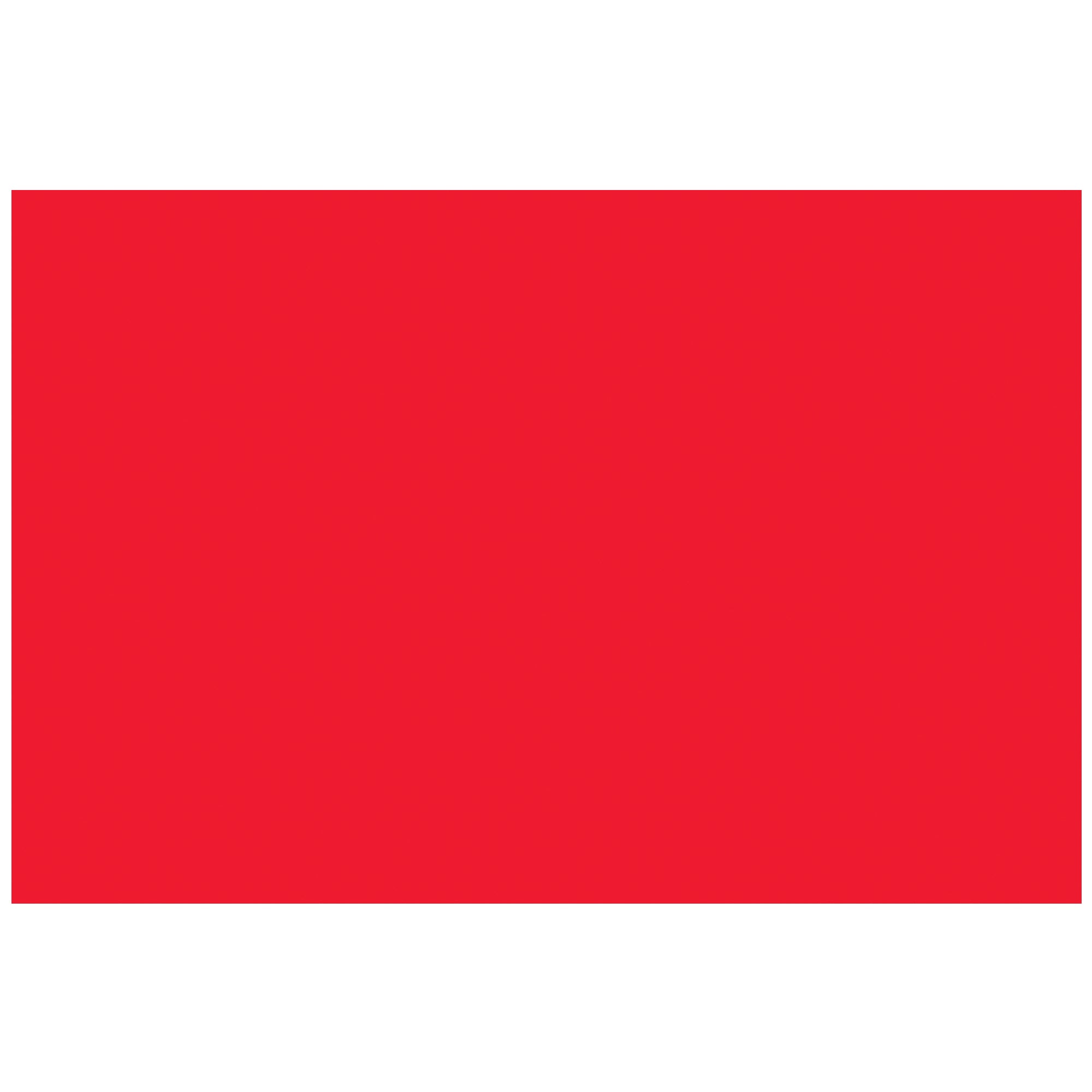 2 x 3" - Fluorescent Red Removable Rectangle Labels (DL1590FR) Roll Of ...
