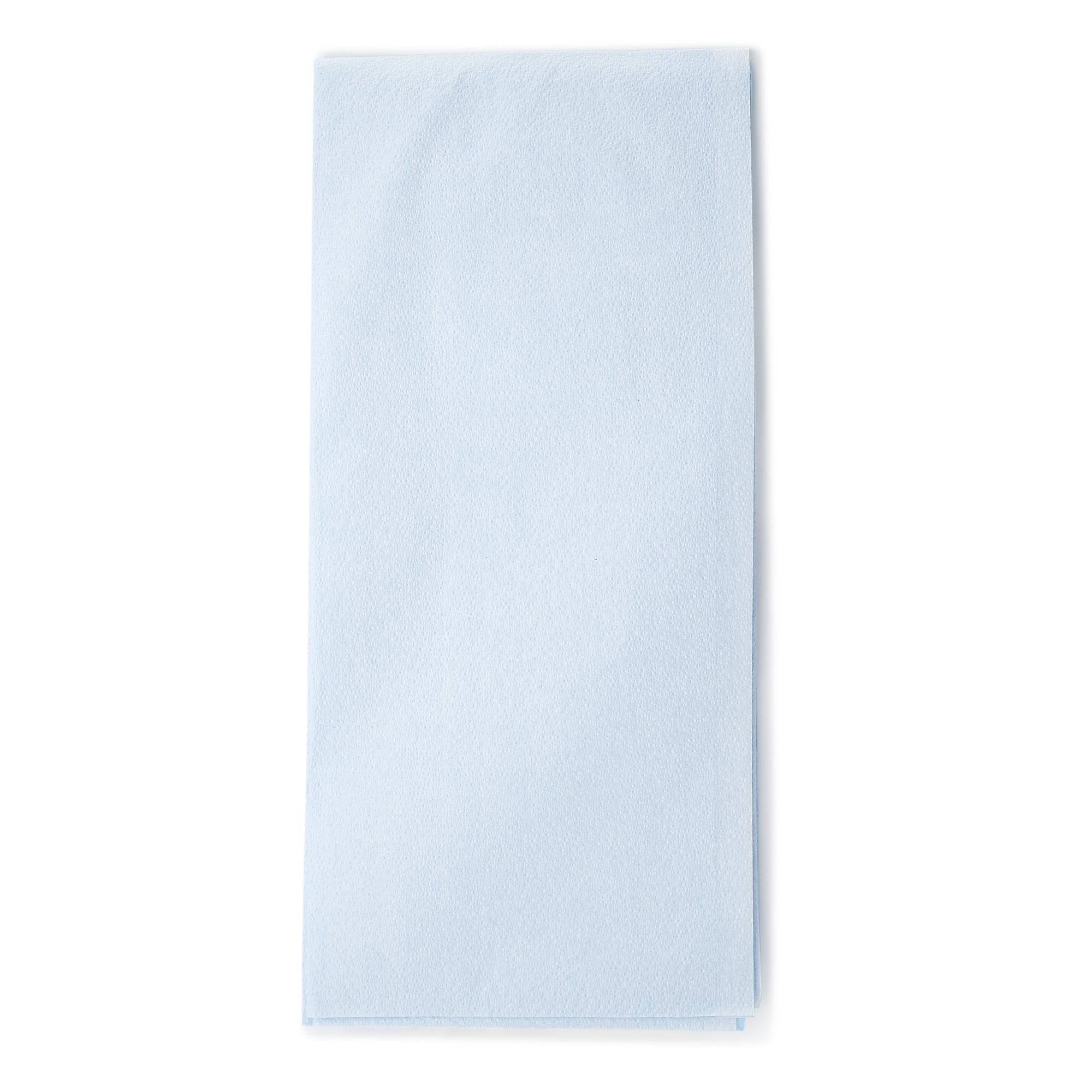 Avalon® Stretcher Sheet Flat 40 X 90 Inch Blue Tissue / Poly Disposabl ...